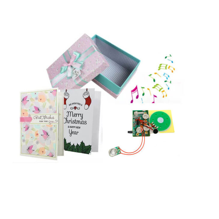 Customized Greeting Card Sound Chip Voice Module | FUNTEK