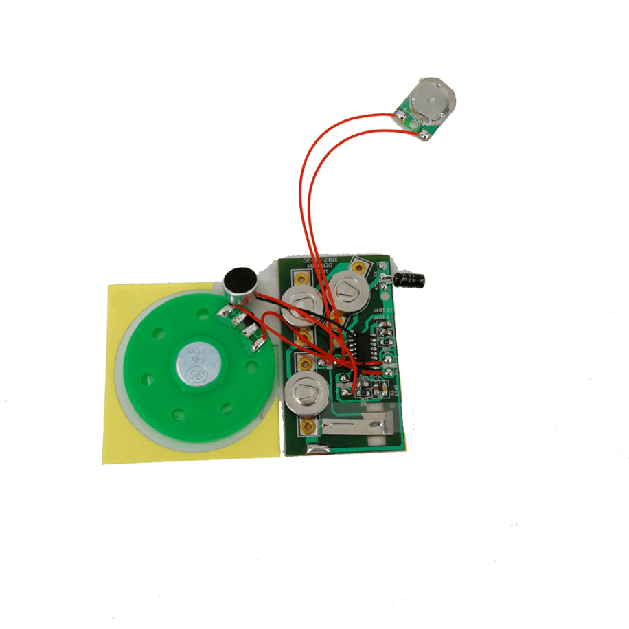 DIY Push Button Recordable Sound Chips for eCards | FUNTEK