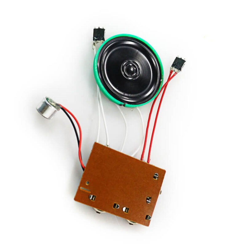 30s Recordable Voice Module for Greeting Card | FUNTEK